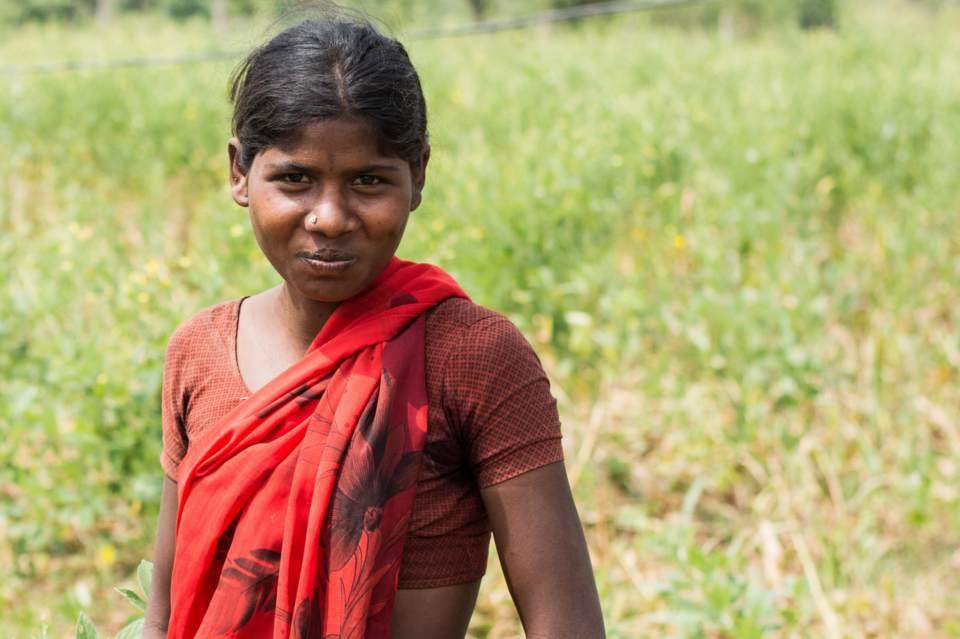 Photos - H.O.T. House of Truth