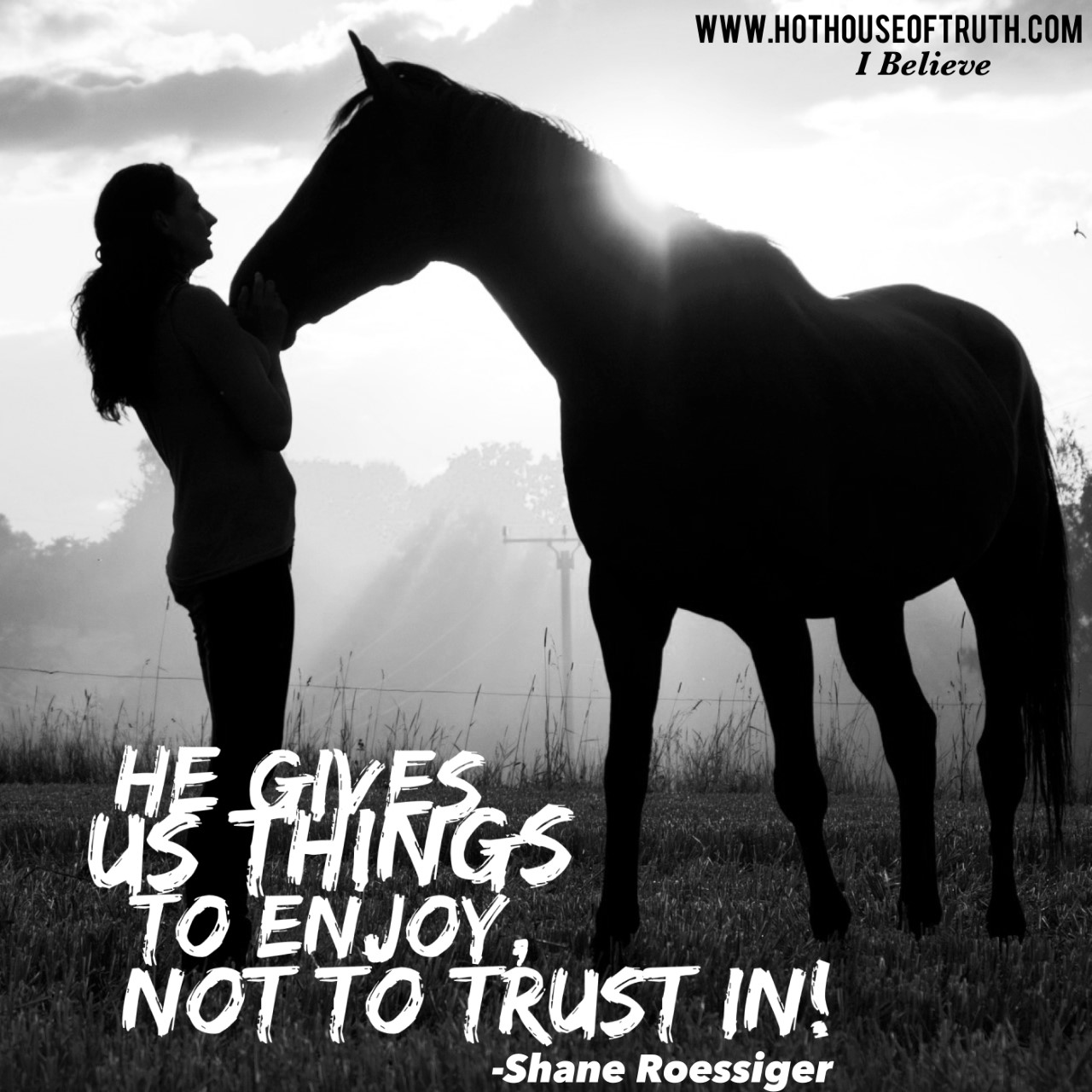 Posters - H.O.T. House of Truth